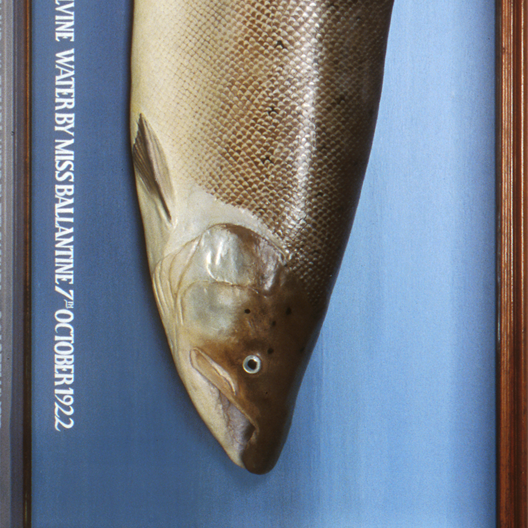 Star Objects - Perth Museum